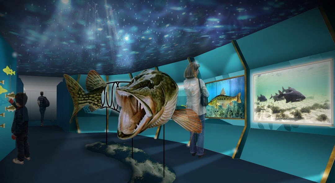 Aqualis - Aix les Bains - Info Loisirs : Brochures touristiques digitales